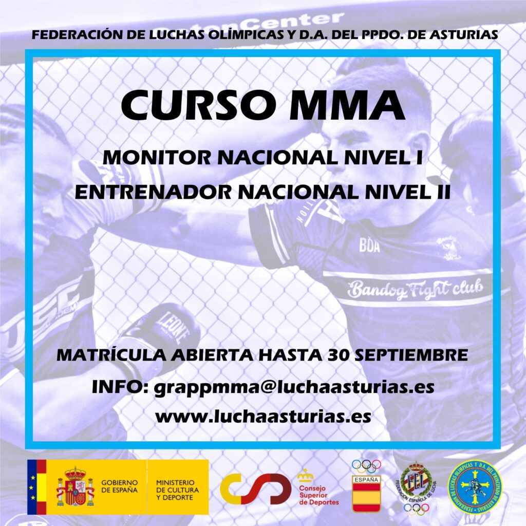 Curso MMA Monitor Nacional Nivel I - Entrenador Nacional Nivel II ...